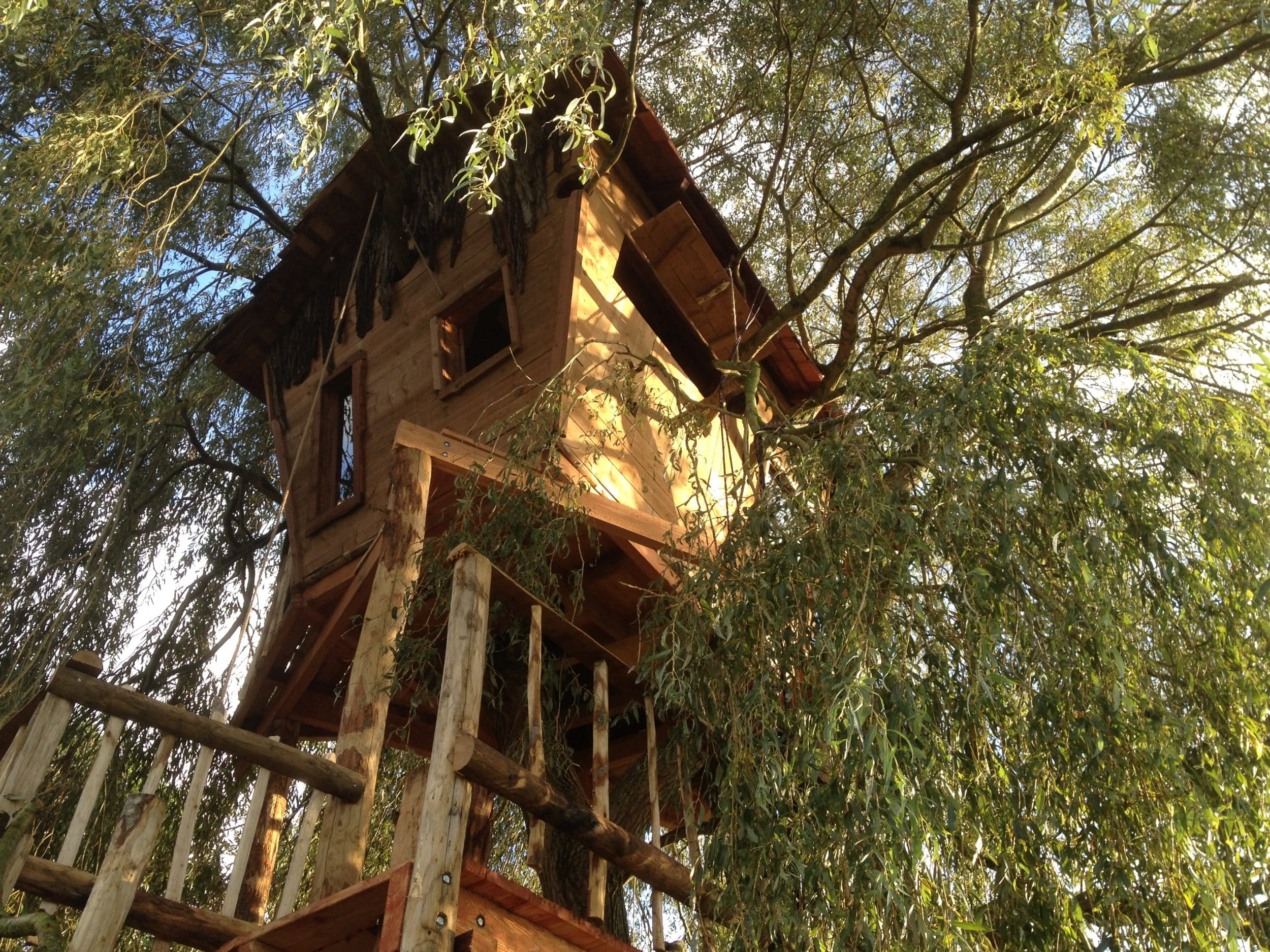 Treehouse Willow – Treehouses & treelounges